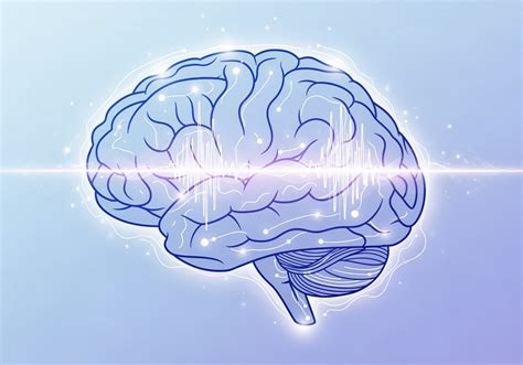 Non Invasive Neurotechnology Benefits Octopus Psychology