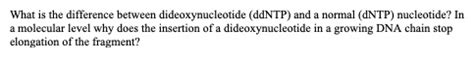 SOLVED What Is The Difference Between Dideoxynucleotide DdNTP And Normal DNTP Nucleotide