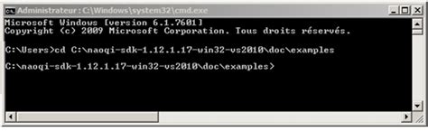 C Sdk Installation Guide Aldebaran R Documentation
