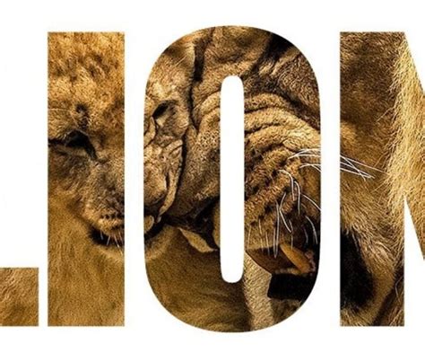 Clipping Mask With Multiple Shapes Retouching Labs