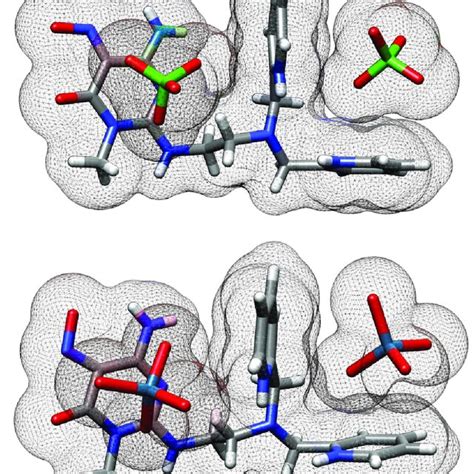 Synopsis Of The Perchlorate Top And Perrhenate Bottom Complexation Download Scientific