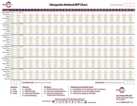 Free Nfp Chart Download — Certified Marquette Method Nfp Instruction