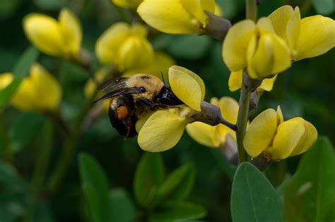 Cassandra Marie Photography Cassandra Marie Photography