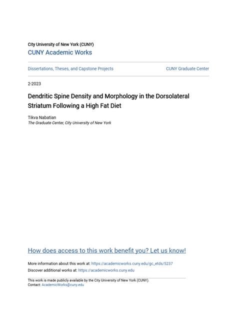 Dendritic Spine Density And Morphology In The Dorsolateral Striat Pdf