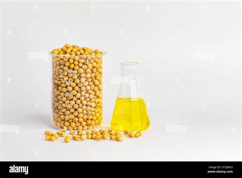 Soybeans With Laboratory Beaker Genetically Modified Crops Soy Oil And Biodiesel Concept