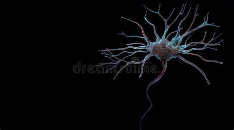 A System Neuron Of Brain With Synapses And Electrical Activity