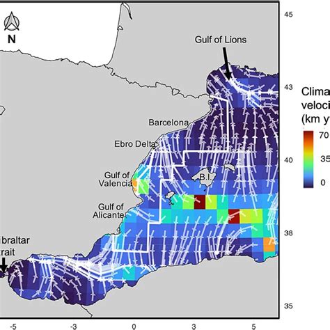 Los Peces Del Mediterráneo Se Están Desplazando A Zonas Donde El