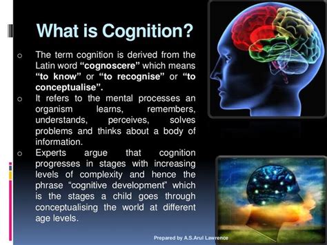 What Is Cognitiono The Term Cognition Is Derived From The Latin Word Cognoscere” Which Means