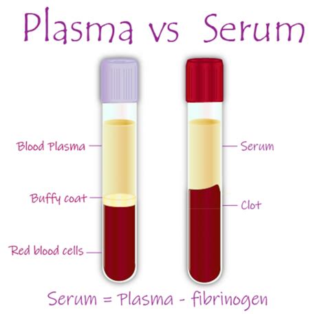 22 Differences Between Plasma And Serum Cbse Class Notes Online Classnotes123