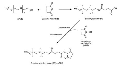 Hydroxyl Group Examples Anomers Biochemistry Flashcards Draw It To