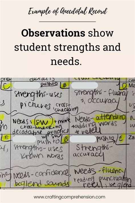 Anecdotal Record Examples