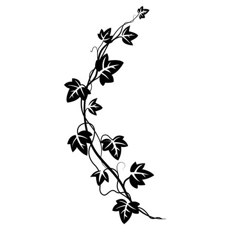 Ivy Leaf Svg Poison Ivy Svg Ivy Border Digital Download Etsy Finland