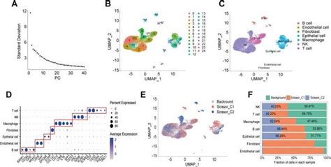 Identification Of Immune Subty Image Eurekalert Science News Releases