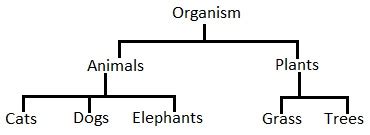 Creating Hierarchical Checkboxes I E Checkbox Trees CodeProject