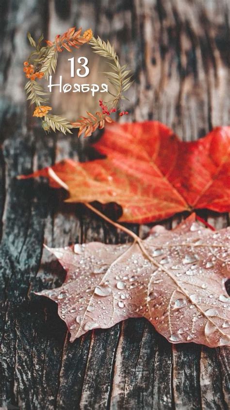 Сторис календарь Ноябрь Сторис Ноябрь Готовые сторис Оформление сторис Идеи сторис Осенние