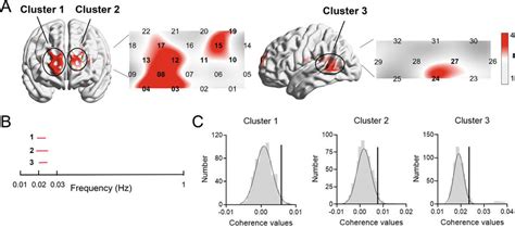 average inter brain synchronization in group vs individual decision