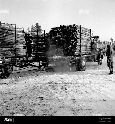 Loading Of Timber From Truck To Freight Wagon With Puller Timber