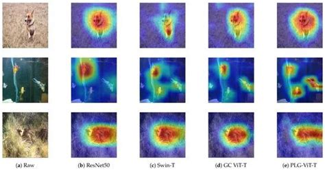 Transformer Based Architectures Are Outperforming Cnns Rnns Lstms And So On In Different