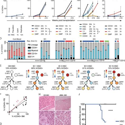 Who Defined Diagnostic Criteria For Mdsmpn Classification 3 Download Table