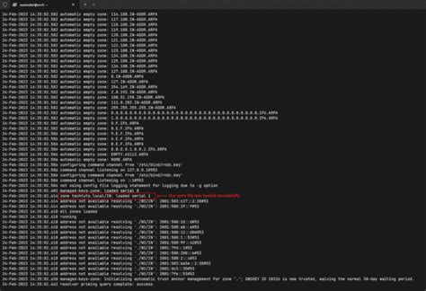 Configure A Private DNS Server In Docker Sysops