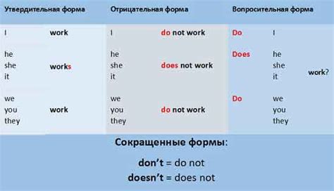 Примеры Present Simple Предложения с переводом 10 примеров Grammar