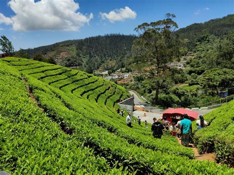 Chinesefarmerstory Lifelessons Staypositive Nevergiveuphope