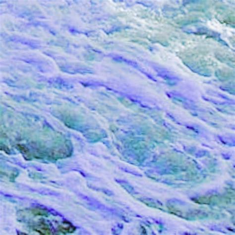 Stream Lllllllllllllllllllllllllllllllllllllllllllllll By Its Your Bedtime Listen Online For