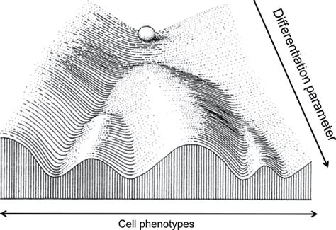 Sketch Of Communication Between Cell And Its Microenvironment