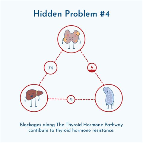 How To Interpret Thyroid Tests To Discover Hidden Thyroid Problems