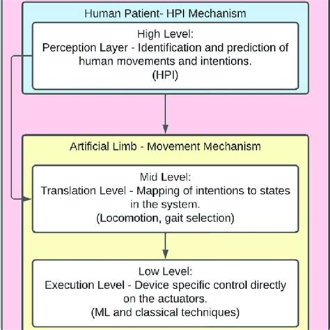A Pneumatic Artificial Muscle Structure Shows Angles Of Movement And Download Scientific