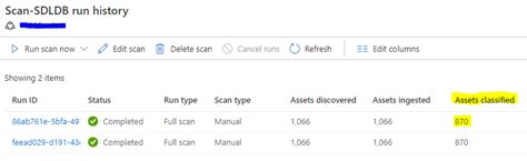 Purview Scanning On Oracle Databases Not Classifying Data Assets