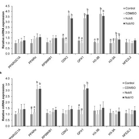 Relative Mrna Transcript Abundance Of Embryo Development Related Genes Download Scientific