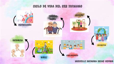Ciclo De Vida Del Ser Humano By Dayanna Rojas On Prezi