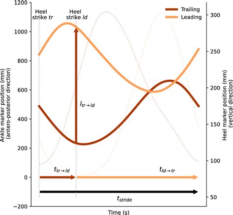 Scheme For Spatiotemporal Parameters Computation During Skipping Solid Download Scientific