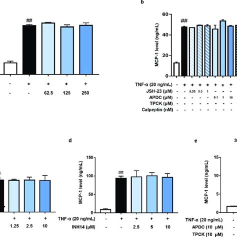 Mcp 1 Production Is Independent Of Nf κb Activation In Tnf α Activated Download Scientific