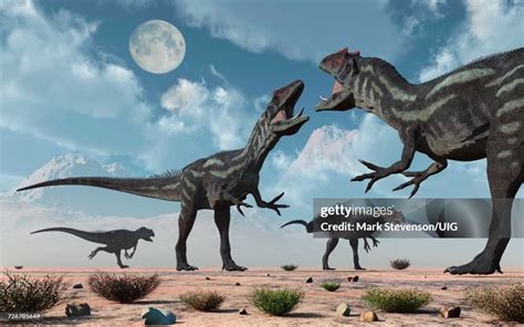 Group Of T Rex Carnivorous Dinosaurs Hunting As A Pack High Res Vector