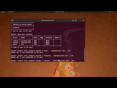 Creación De Base De Datos MySQL En Linux Guía Paso A Paso MySQL YA