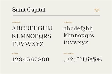 36 Best Transitional Typefaces Fonts To Download Envato Tuts