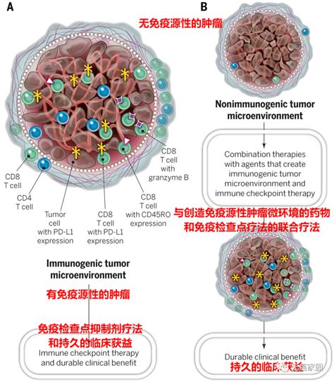 溶瘤病毒治疗 热肿瘤和冷肿瘤是什么 溶瘤病毒疗法联合nk细胞疗法和car T细胞疗法将冷肿瘤变热 对多种癌症肿瘤实现双杀 无癌家园