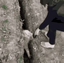 Problems GIF Problems Discover Share GIFs