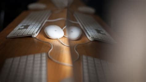 Library Gets Grant To Raise Algorithmic Literacy Cornell Chronicle