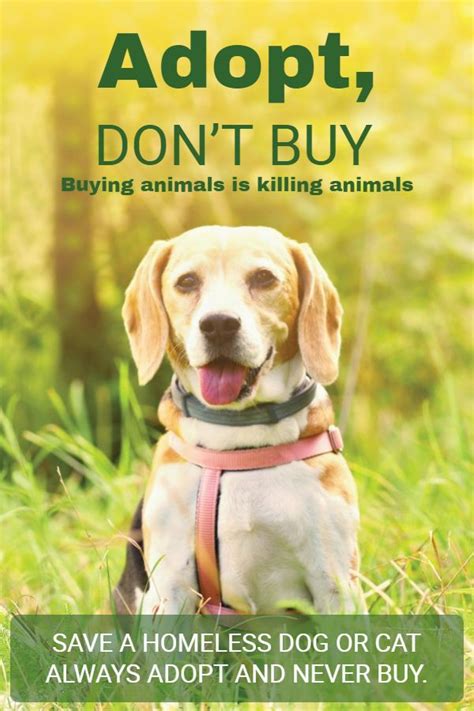 Animal Rescue Poster Template Social Media Template