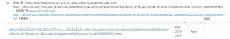 There Is A Problem To Be Optimized In Nuclei · Issue 4245