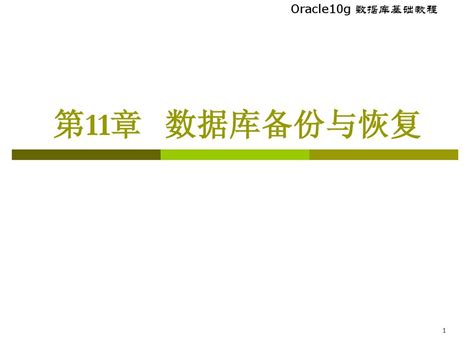 第11章 数据库备份与恢复word文档在线阅读与下载无忧文档