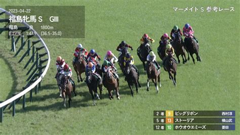 マーメイドsgiii2023 参考レース 競馬予想動画