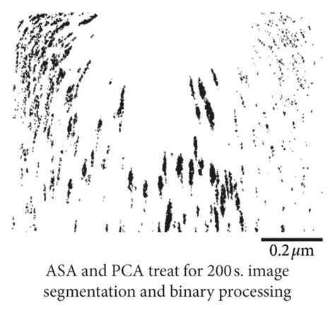 A D Image Analysis Graphs Of Platelet Coverage E Histogram Of Download Scientific Diagram