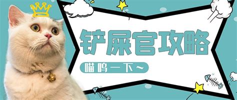 Cute Cartoon Wind PNG Vector PSD And Clipart With Transparent Background For Free Download