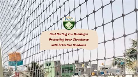 Bird Netting For Buildings Protecting Your Structures With Effective