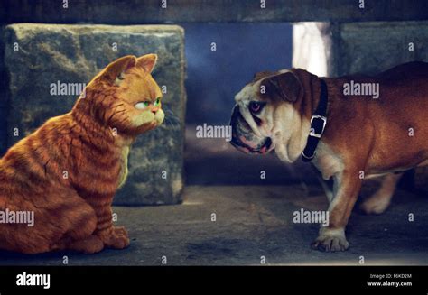 Release Date June 16 2006 Movie Title Garfield A Tail Of Two