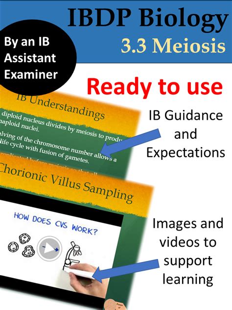 Ib Biology Topic 3 3 Meiosis Teaching Resources